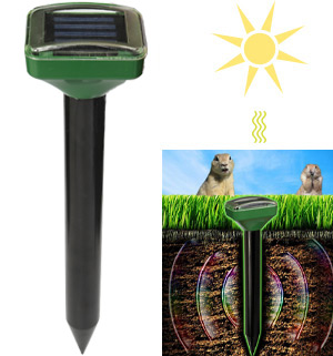 P7945 Solar Mole and Gopher Repelling Ground Stake - PulseTV