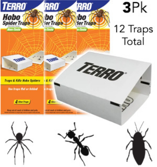 TERRO Spider Glue Traps 3-Pack - PulseTV