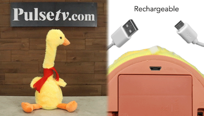 Dancing, Wiggling, Singing, and Repeating Duck - PulseTV