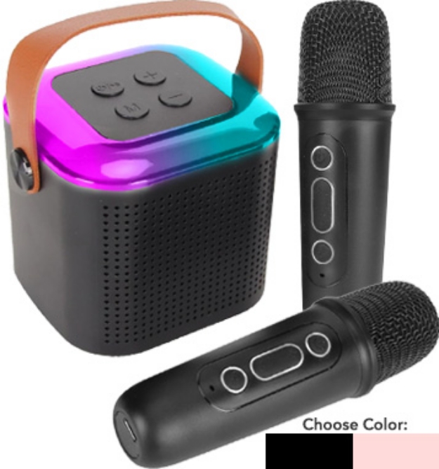 Bluetooth Karaoke Speaker Kit with Dual Special FX Microphones - PulseTV
