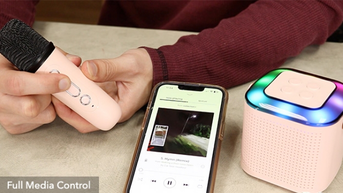 Bluetooth Karaoke Speaker Kit with Dual Special FX Microphones - PulseTV